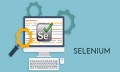 Selenium Automation using C# - LEARNTEK