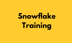 Snowflake SnowPro Core Certification Archives - LEARNTEK